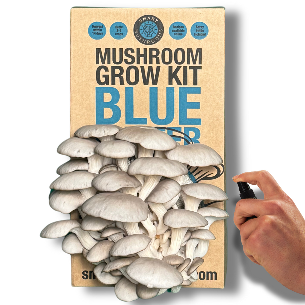 Smart Mushrooms UK