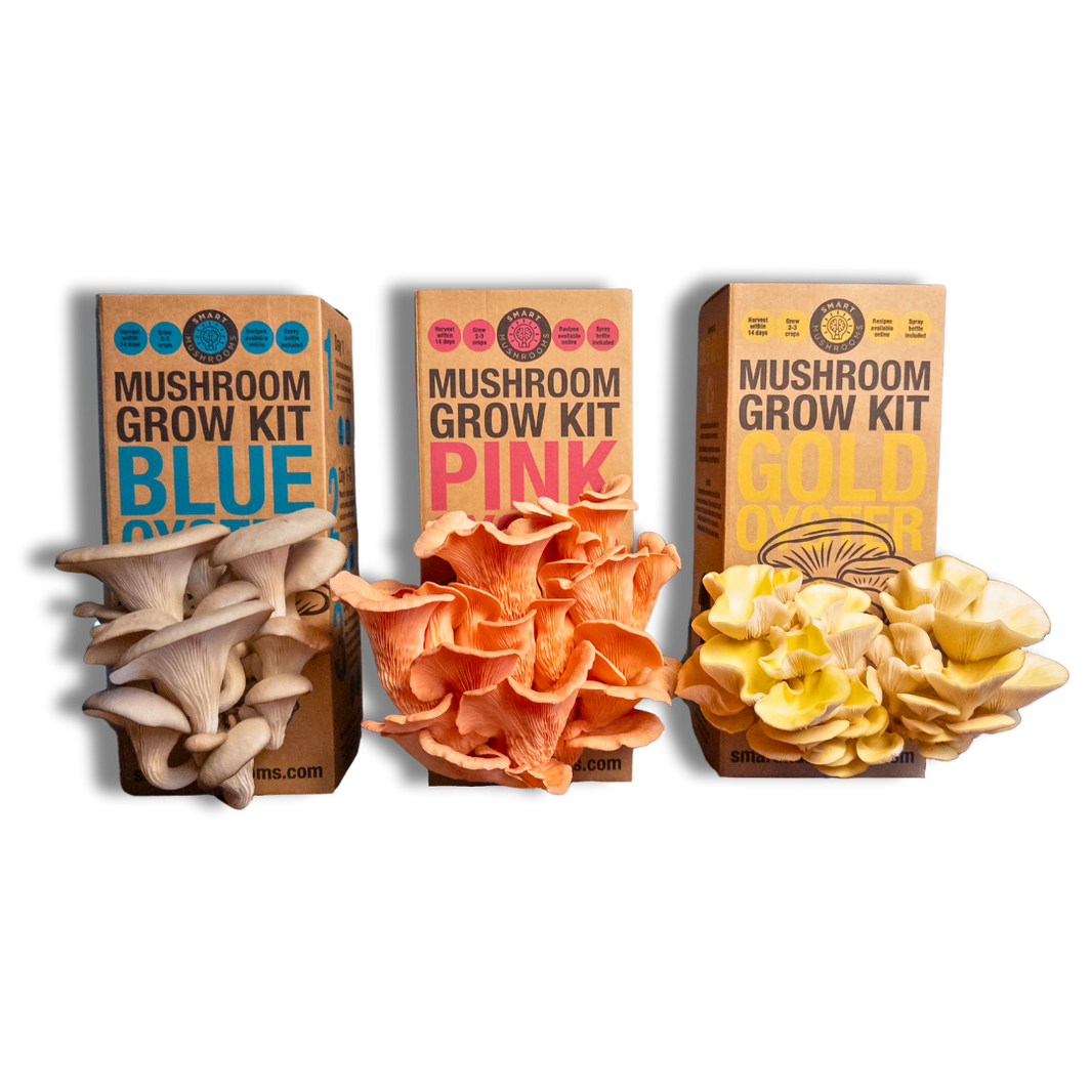 Products – Smart Mushrooms