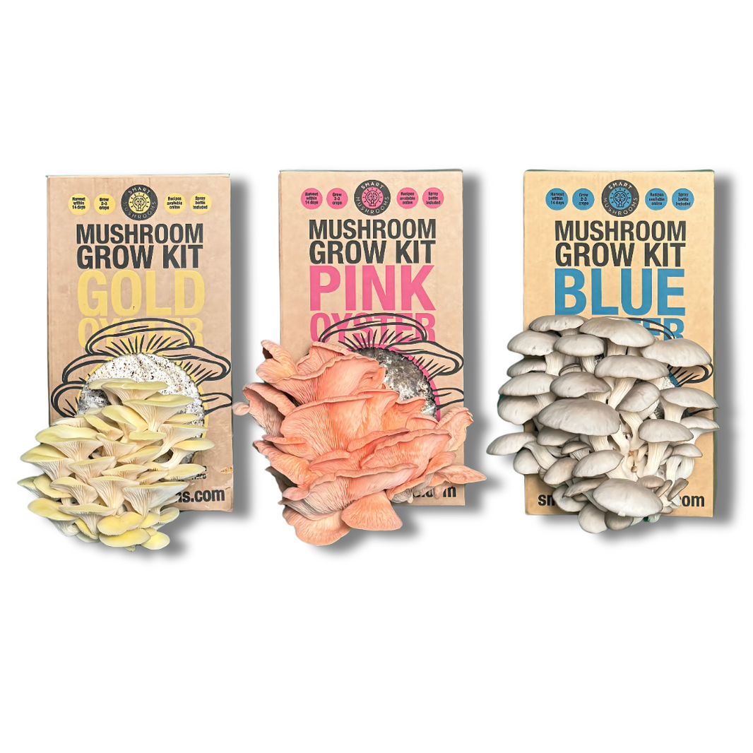 Smart Mushrooms UK