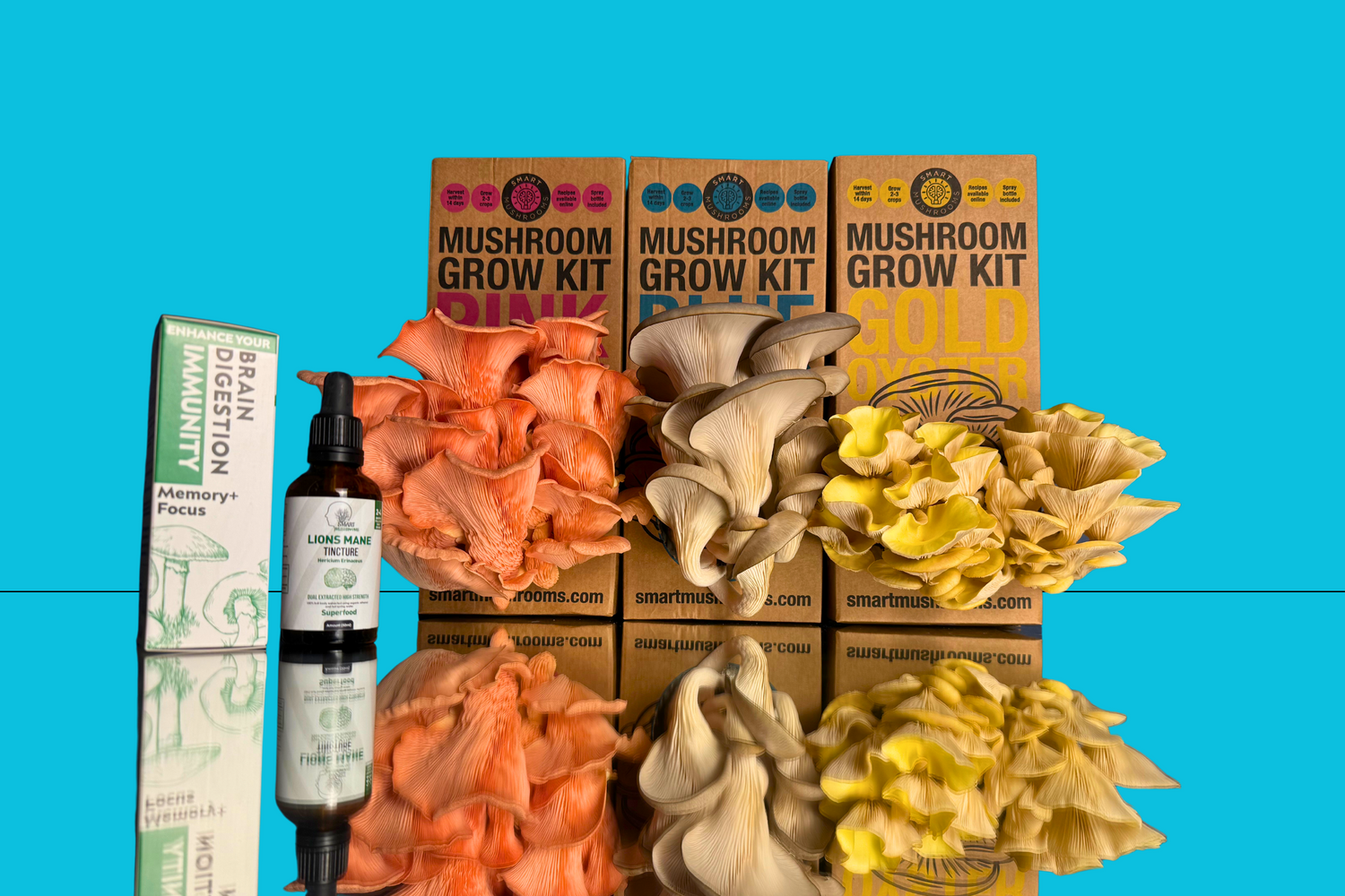 Smart Mushrooms UK